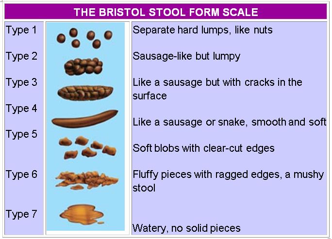 The role of Stools Consistency and the Microbiome – A path for CFS Diet ...
