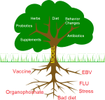A Model of CFS | CFS Remission
