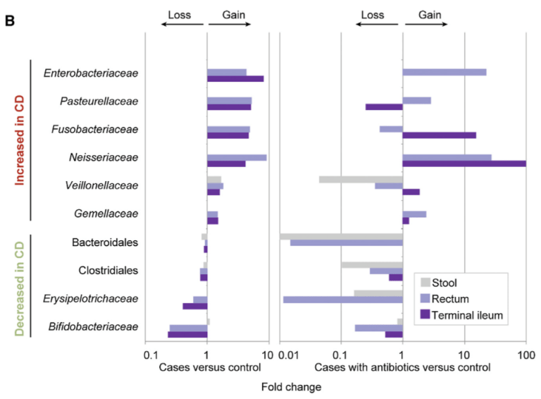 Atypical Crohn’s Disease – later stage CFS? | CFS Remission
