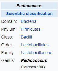 Pediococcus Pentosaceus Probiotics | CFS Remission