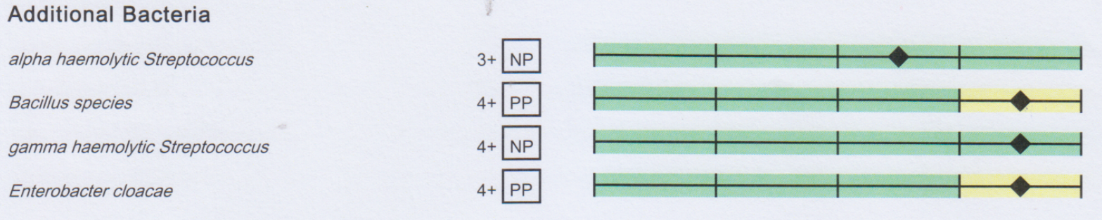 Review of GI Effects Comprehensive Profile from Genova Diagnostics ...