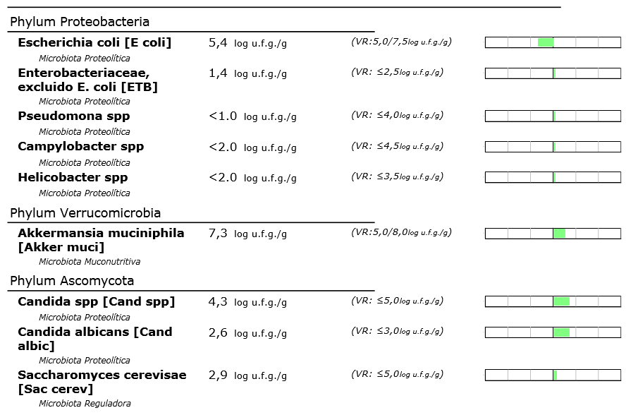 A Spanish Microbiome Test and Analysis | CFS Remission