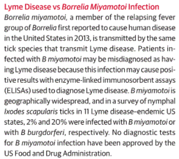 Recent Studies on Lyme | CFS Remission
